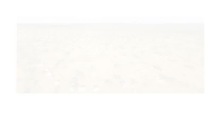 Ecological fieldwork in the NamTip project